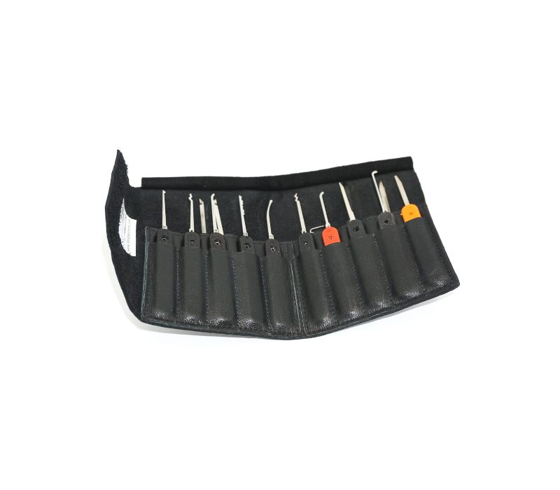 Kiwi Pick Set - GSP | PickPals